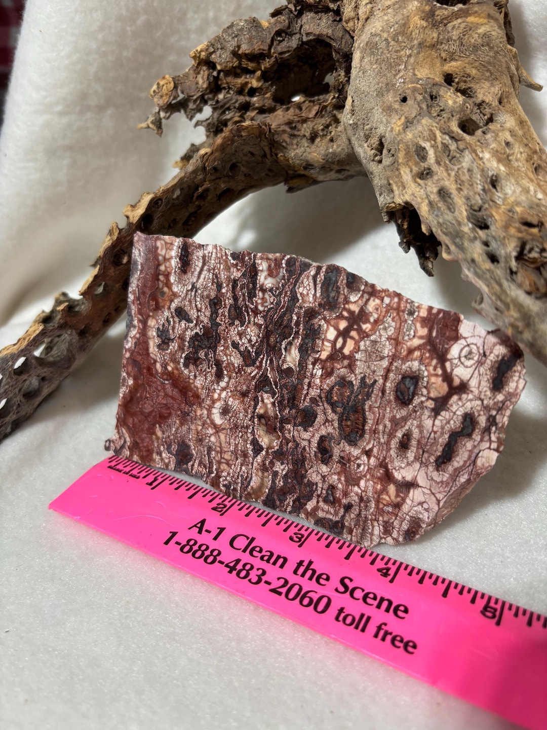 Slabs: Birds Eye Rhyolite - Etsy