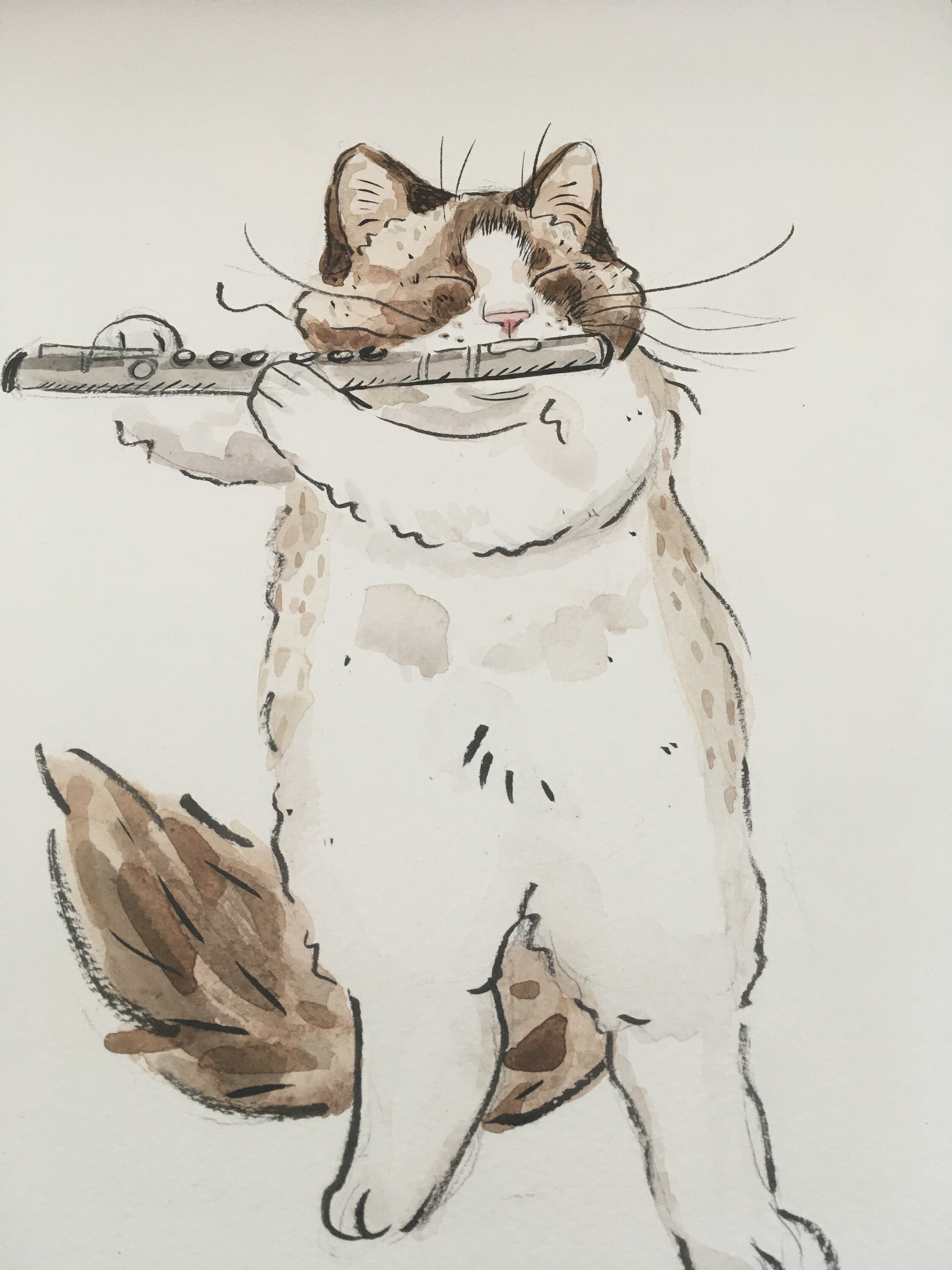 Bicolor Ragdoll Cat Playing the Flute Flutist Flute Player - Etsy UK