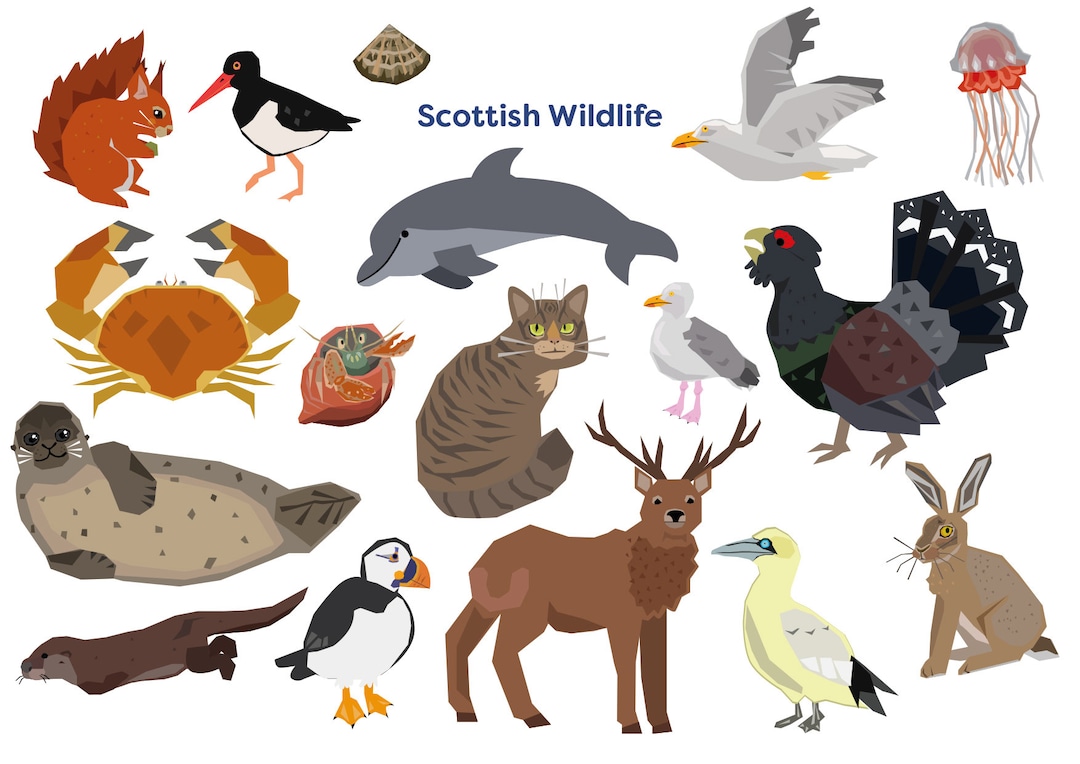 Scottish Animals Wildlife Clipart Scots Scotland Beasties Educational ...