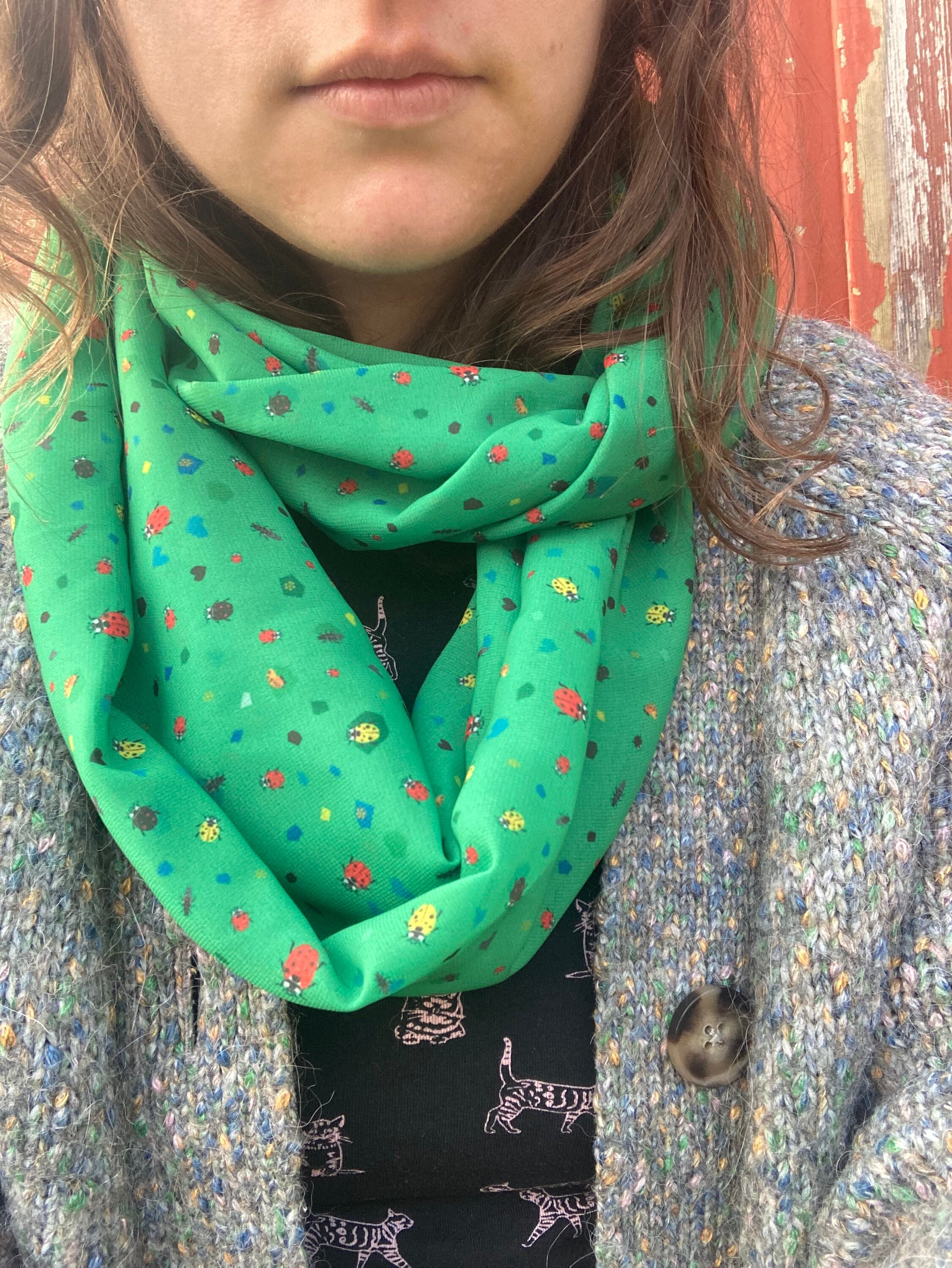Ladybird Beetle Life Cycle Print Chiffon Infinity Scarf Ladybug Grub ...