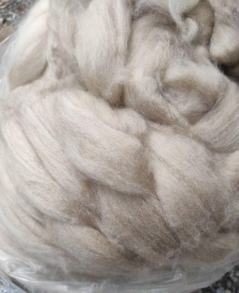 Cashmere 100%, Roving, 50 Grams (1.78 Oz)! 15,5 -16 Micron, Tops, Light ...