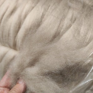 Cashmere 100%, Roving, 50 Grams (1.78 Oz)! 15,5 -16 Micron, Tops, Light ...