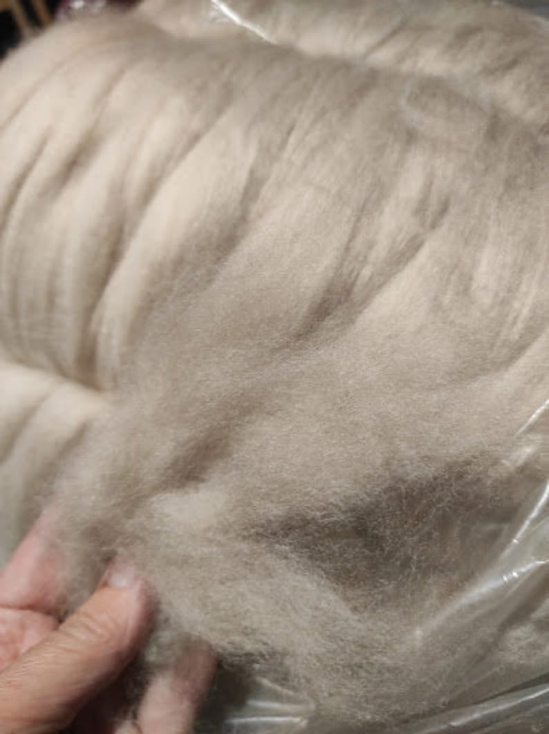 Cashmere 100% Roving 50 Grams 1.78 Oz 155 16 Micron - Etsy