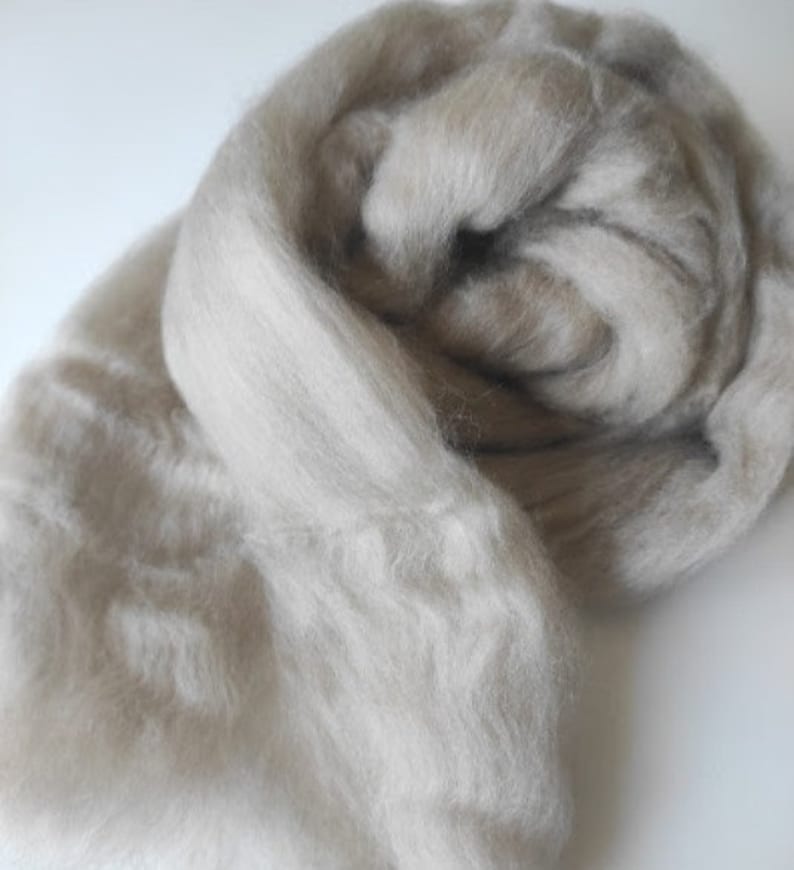 Cashmere 100% Roving 50 Grams 1.78 Oz 155 16 Micron - Etsy