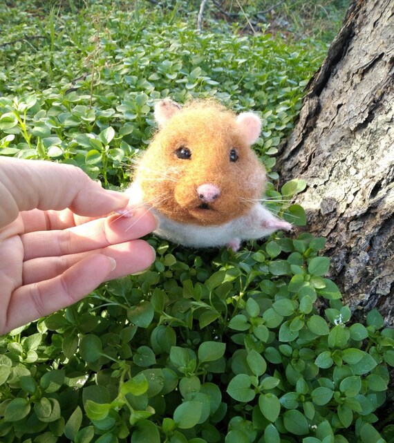 Hamster Replica Pet Cloning Hamster Memorial Any Pet Sculpture | Etsy