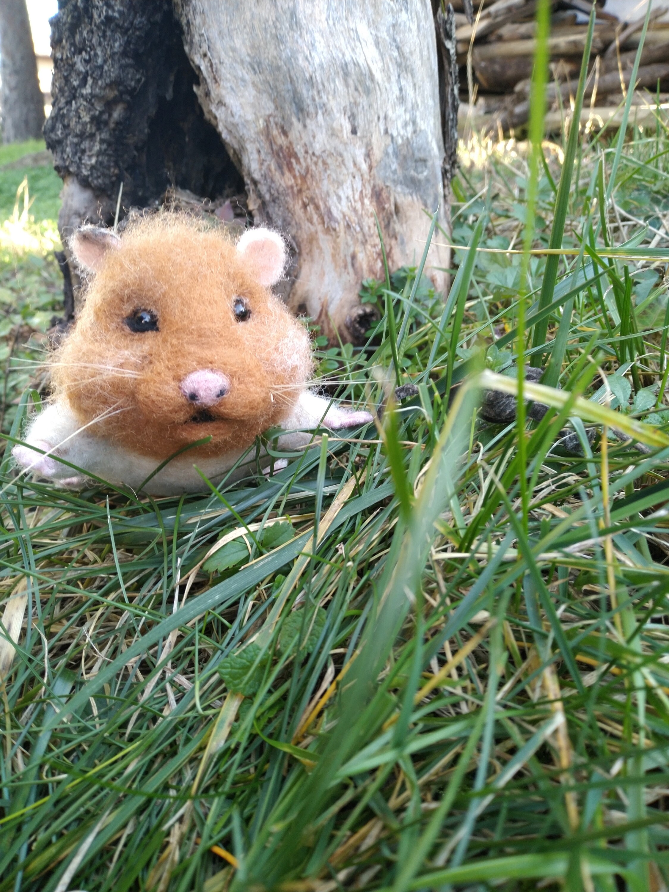 Hamster Replica Pet Cloning Hamster Memorial Any Pet Sculpture Hamster ...