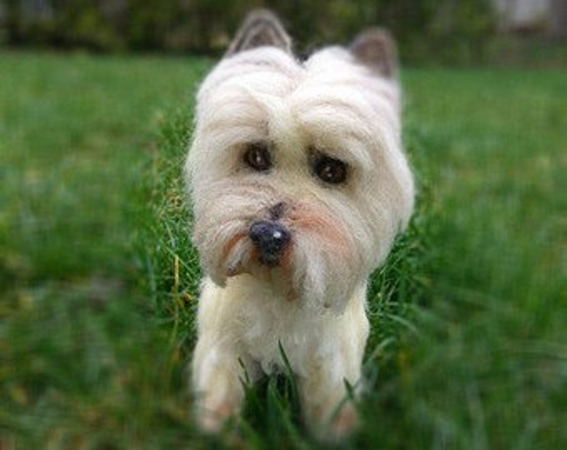 Custom Felted Dog Pet Portrait Sculpture Mini Pet Replica | Etsy