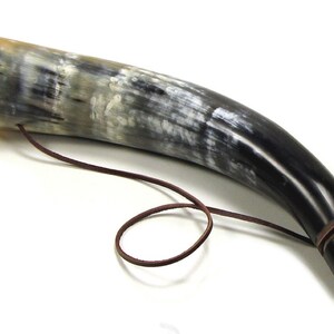 Natural Oxhorn Trumpet Blowing Horn. Viking / Saxon - Etsy UK