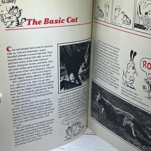 Garfield the Complete Cat Book by Jim Davis, 1981 - Etsy