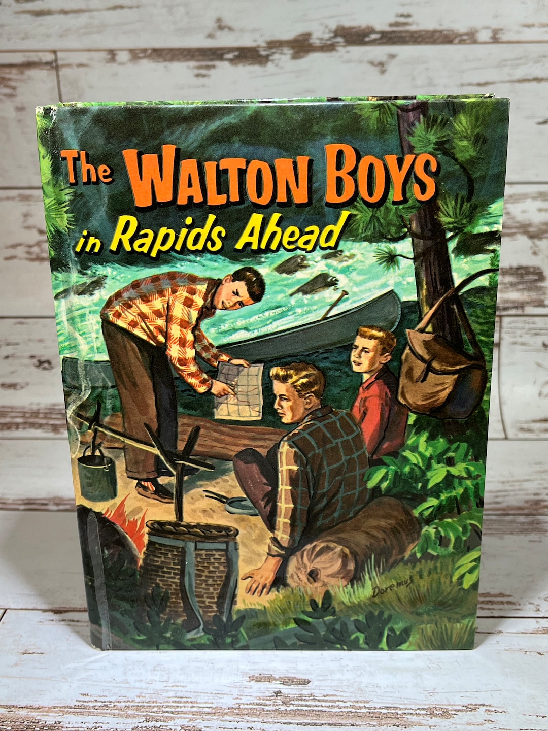 The Walton Boys in Rapids Ahead by Hal Burton, Whitman 1958 - Etsy