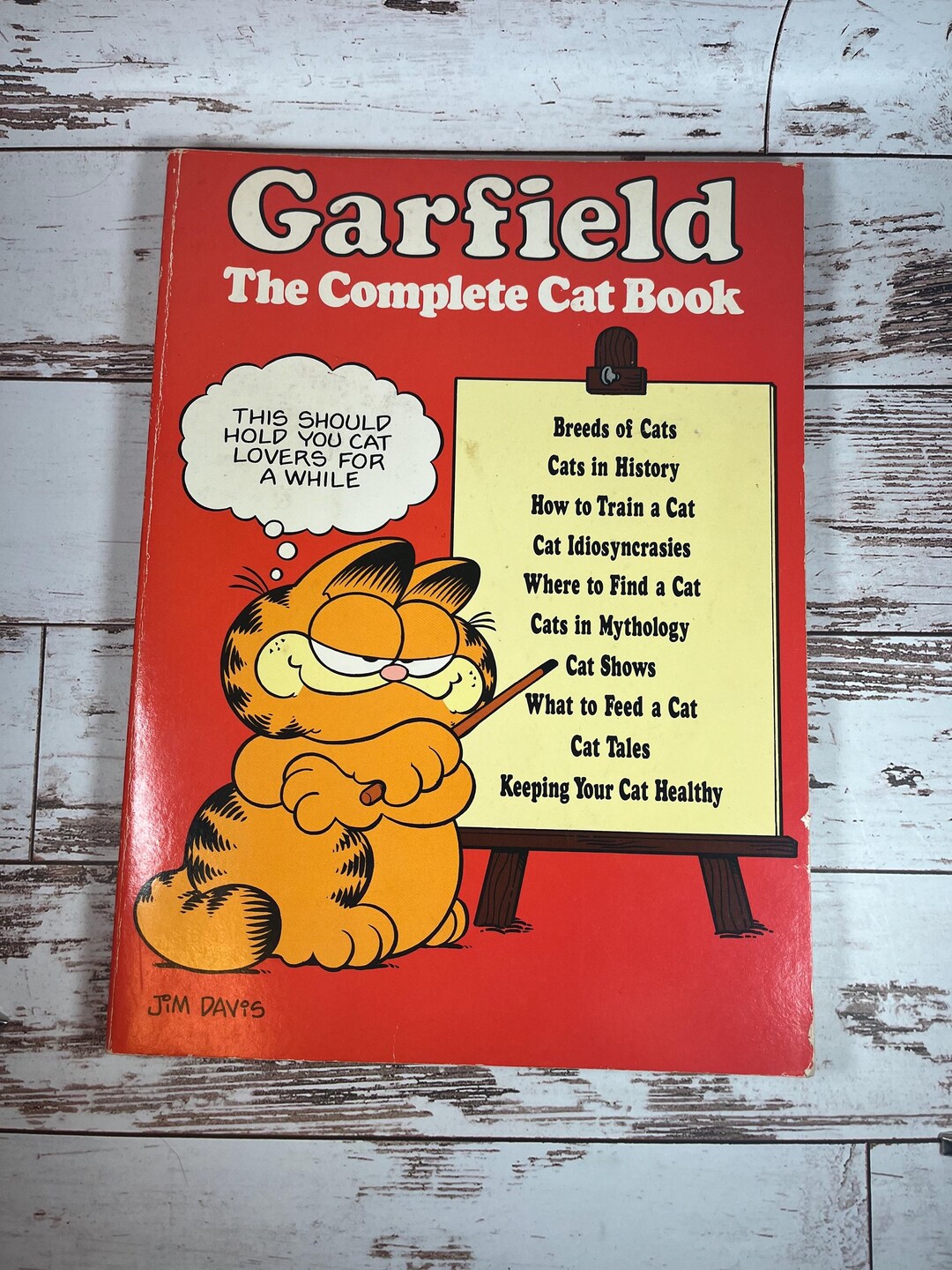 Garfield the Complete Cat Book by Jim Davis, 1981 - Etsy