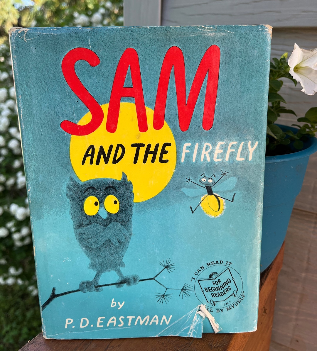 Sam and the Firefly by P. D. Eastman, First Printing - Etsy