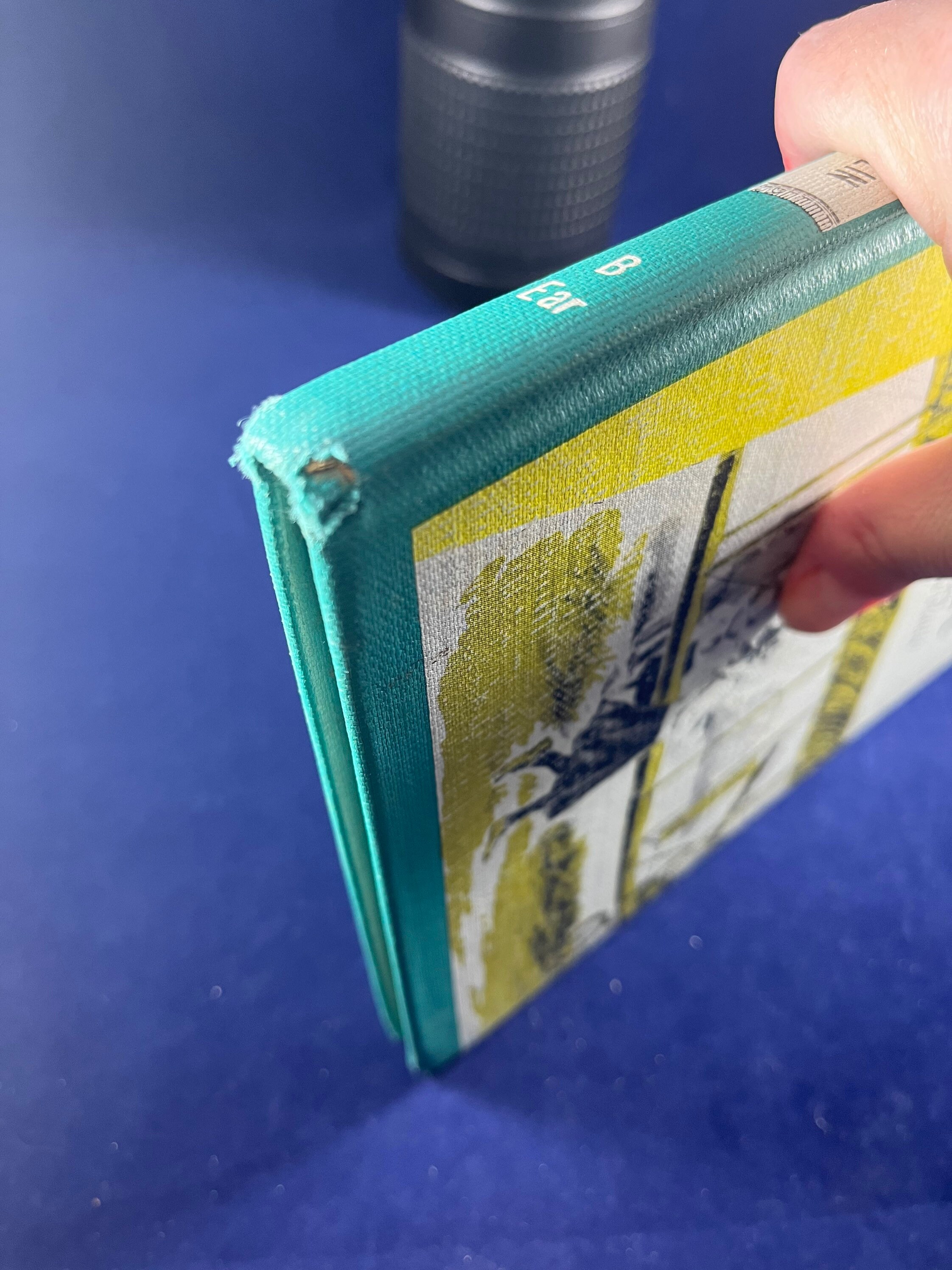 Amelia Earhart Pioneer in the Sky by John Parlin, A Discover Book 1962 ...