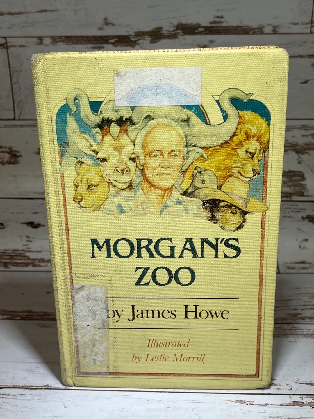 Morgan’s Zoo by James Howe, 1984 First Edition - Etsy
