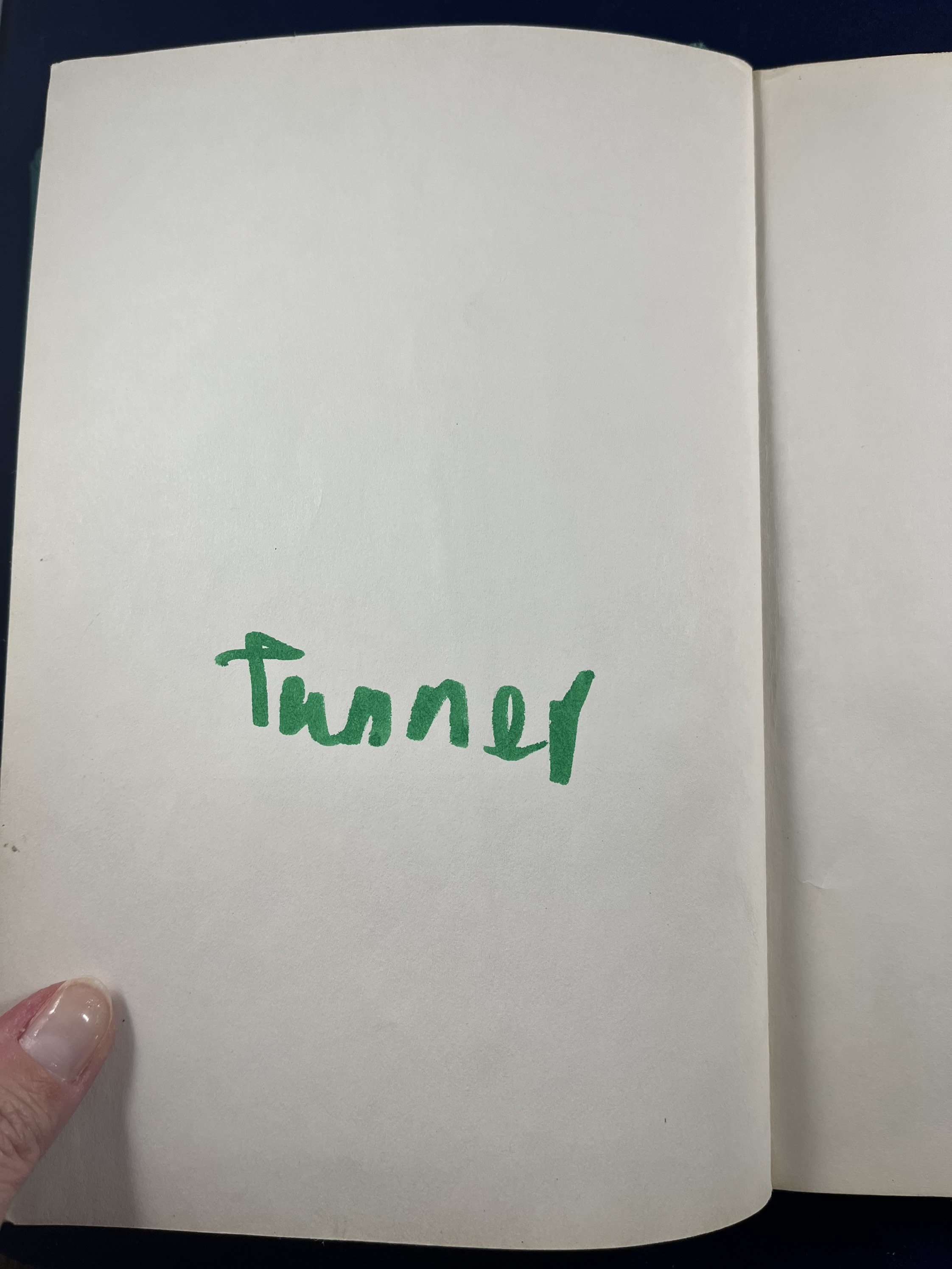 Amelia Earhart Pioneer in the Sky by John Parlin, A Discover Book 1962 ...