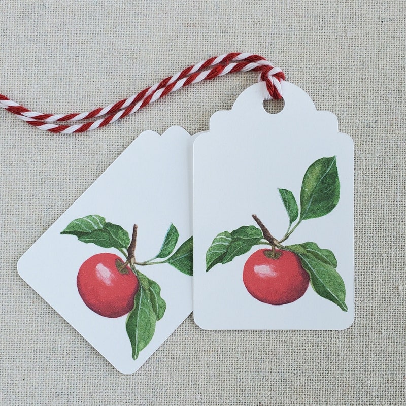 Gift Bag Tags - 60+ Gift Ideas for 2024