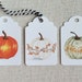 Autumn Gift Tags, Fall Gift Tags, Pumpkin Gift Tag, White Pumpkin Gift ...