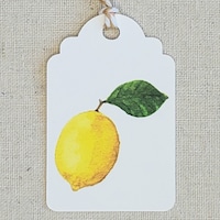 LEMON | Favor Tag Template, Mimosa Bar Tags, Main Squeeze, Lemon ...