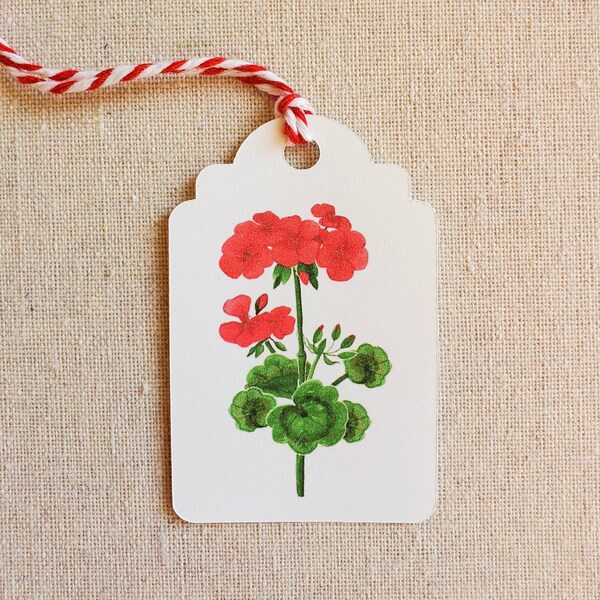 Geraniums - Etsy