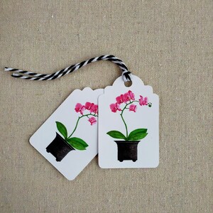 Pink Orchid Gift Tags Orchid Gift Tags All Occasion Gift - Etsy