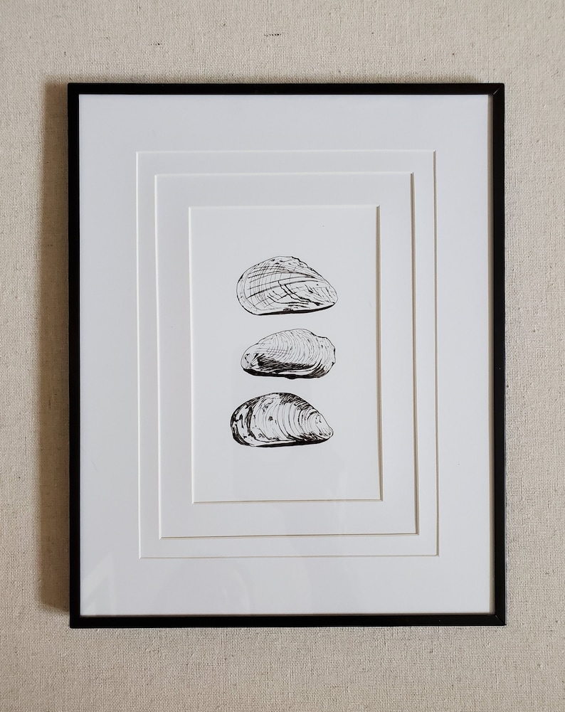 ART PRINT: Black Ink Shell Art Print, Art Print, Original Ink Art Print ...