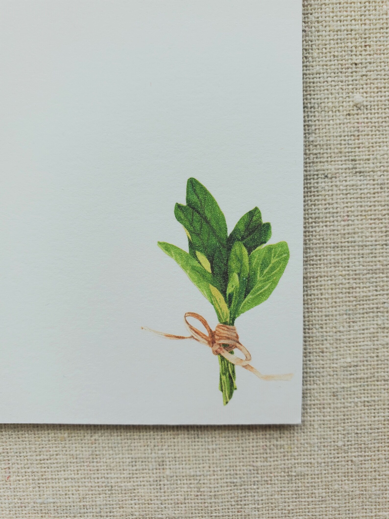 Sage Blank or Personalized Stationery, Original Watercolor Note Cards ...