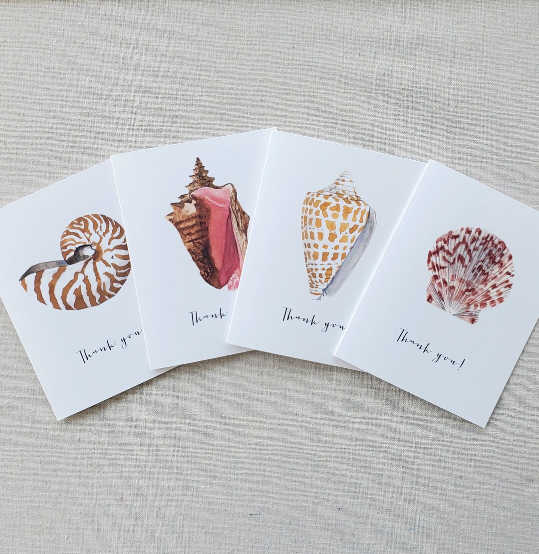 Shell Thank You Note Cards, Original Watercolor Ocean Shell Variety ...