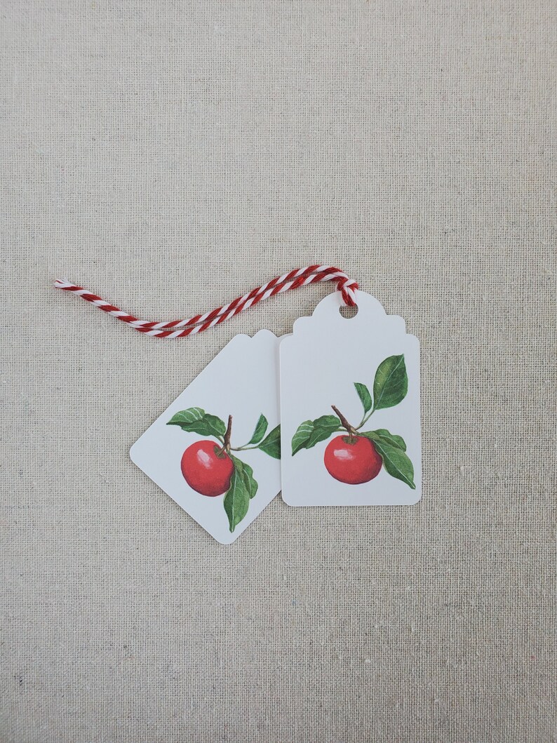 Apple Gift Tags, Set of 9, Original Watercolor Autumn Gift Bag Tags ...