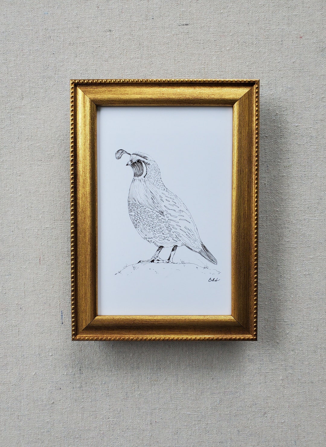 ART PRINT: Black Ink Quail Art Print, Art Print, Original Ink Art Print ...