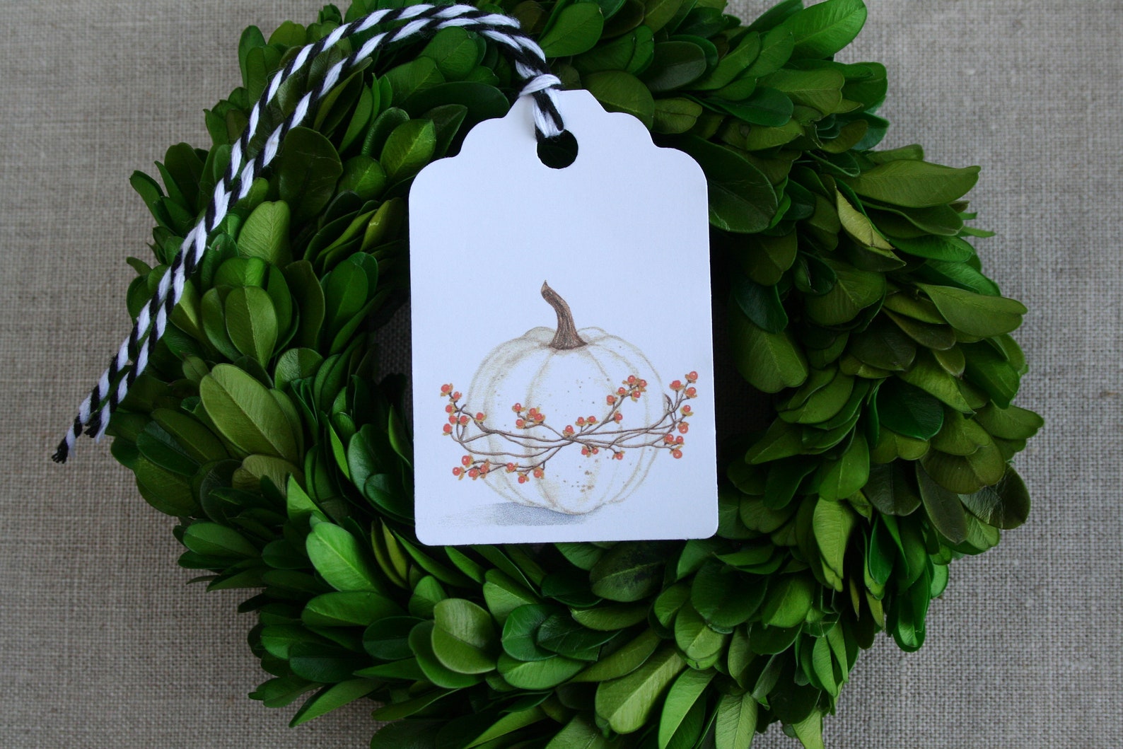Autumn Gift Tags Fall Gift Tags Pumpkin Gift Tag White - Etsy