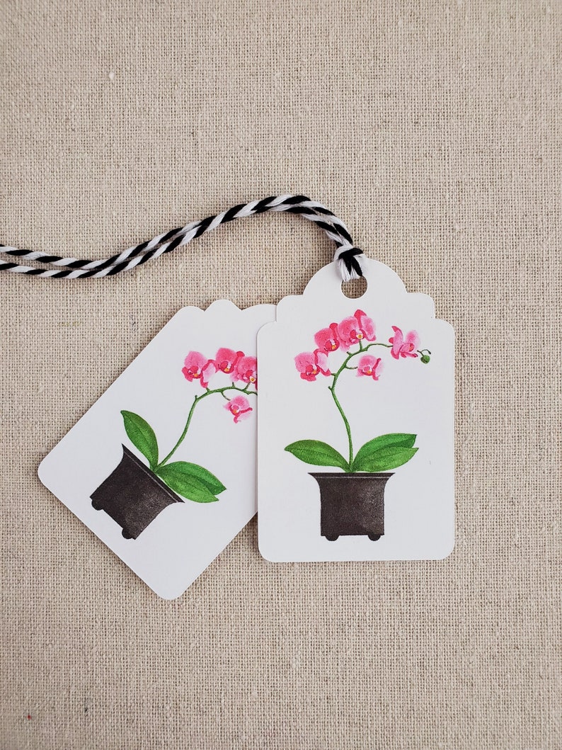 Pink Orchid Gift Tags Orchid Gift Tags All Occasion Gift - Etsy