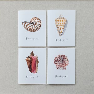 Shell Thank You Note Cards, Original Watercolor Ocean Shell Variety ...