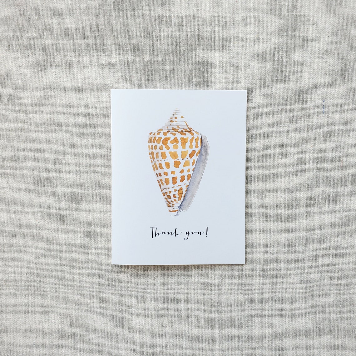 Shell Thank You Note Cards, Original Watercolor Ocean Shell Variety ...