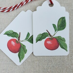 Apple Gift Tags, Fall Gift Tags, Autumn Gift Tag, Gift Tag, Party Favor ...