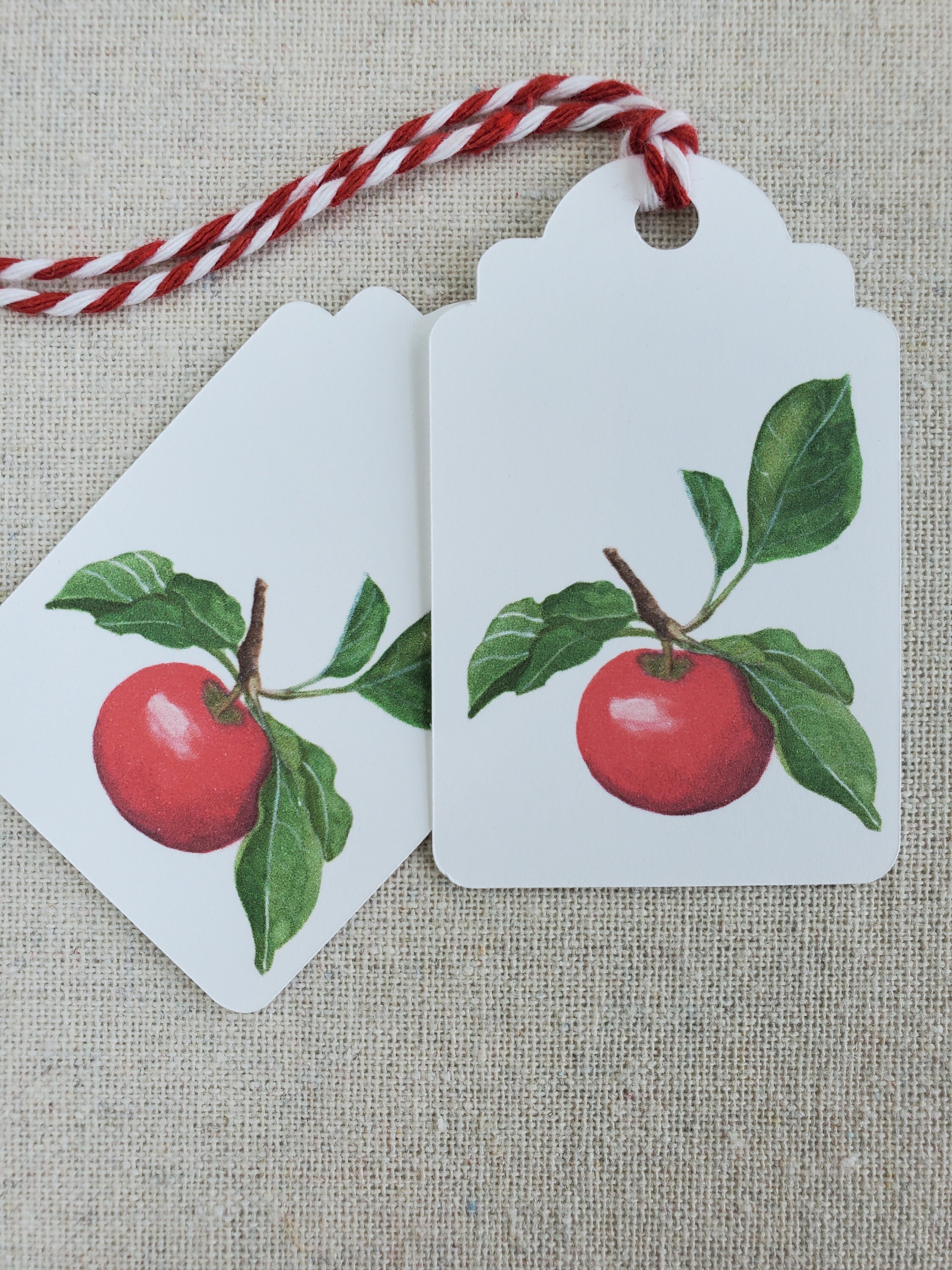 Apple Gift Tags, Set of 9, Original Watercolor Autumn Gift Bag Tags ...