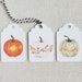 Autumn Gift Tags, Fall Gift Tags, Pumpkin Gift Tag, White Pumpkin Gift ...