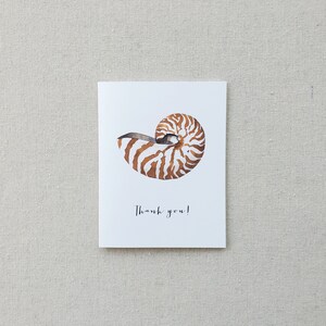 Shell Thank You Note Cards, Original Watercolor Ocean Shell Variety ...