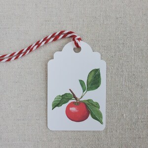 Apple Gift Tags, Fall Gift Tags, Autumn Gift Tag, Gift Tag, Party Favor ...