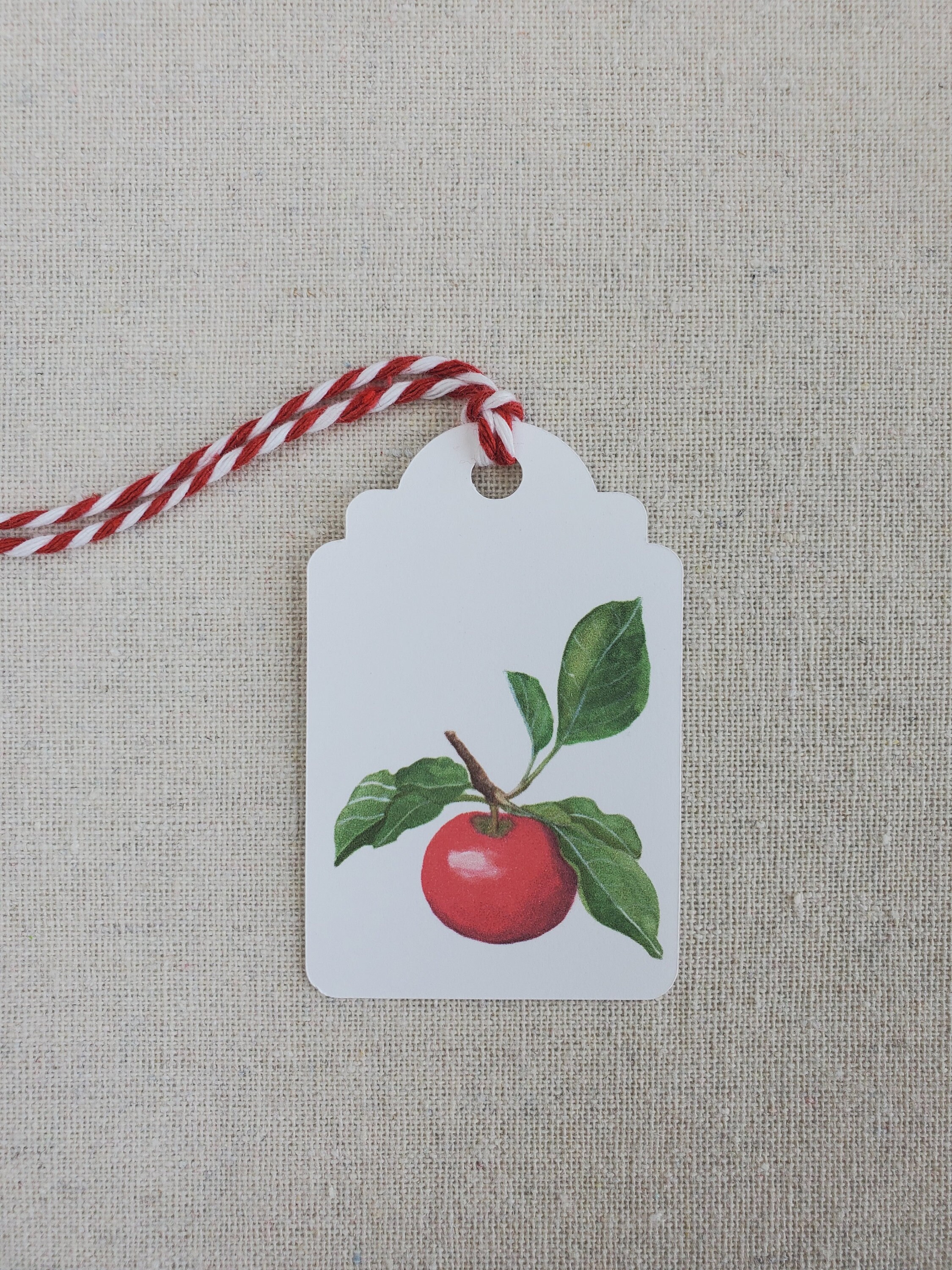 Apple Gift Tags, Set of 9, Original Watercolor Autumn Gift Bag Tags ...