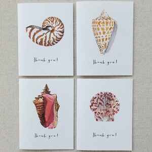 Shell Thank You Note Cards, Original Watercolor Ocean Shell Variety ...