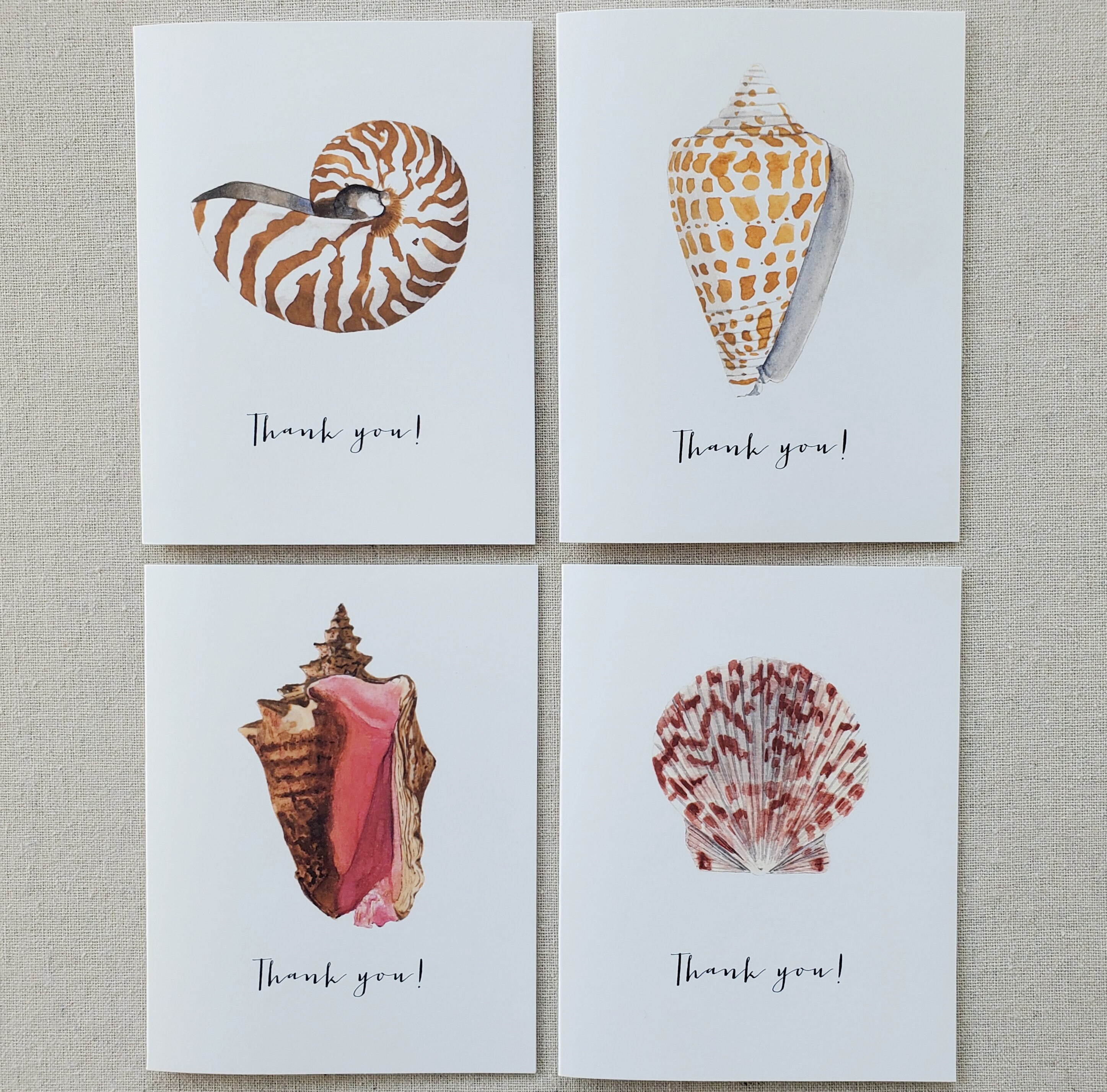 Shell Thank You Note Cards, Original Watercolor Ocean Shell Variety ...