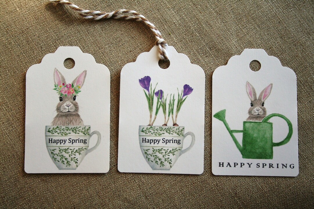 All Occasion Gift Tags Spring Gift Tags Gift Tags Rabbit - Etsy