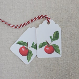 Apple Gift Tags, Fall Gift Tags, Autumn Gift Tag, Gift Tag, Party Favor ...