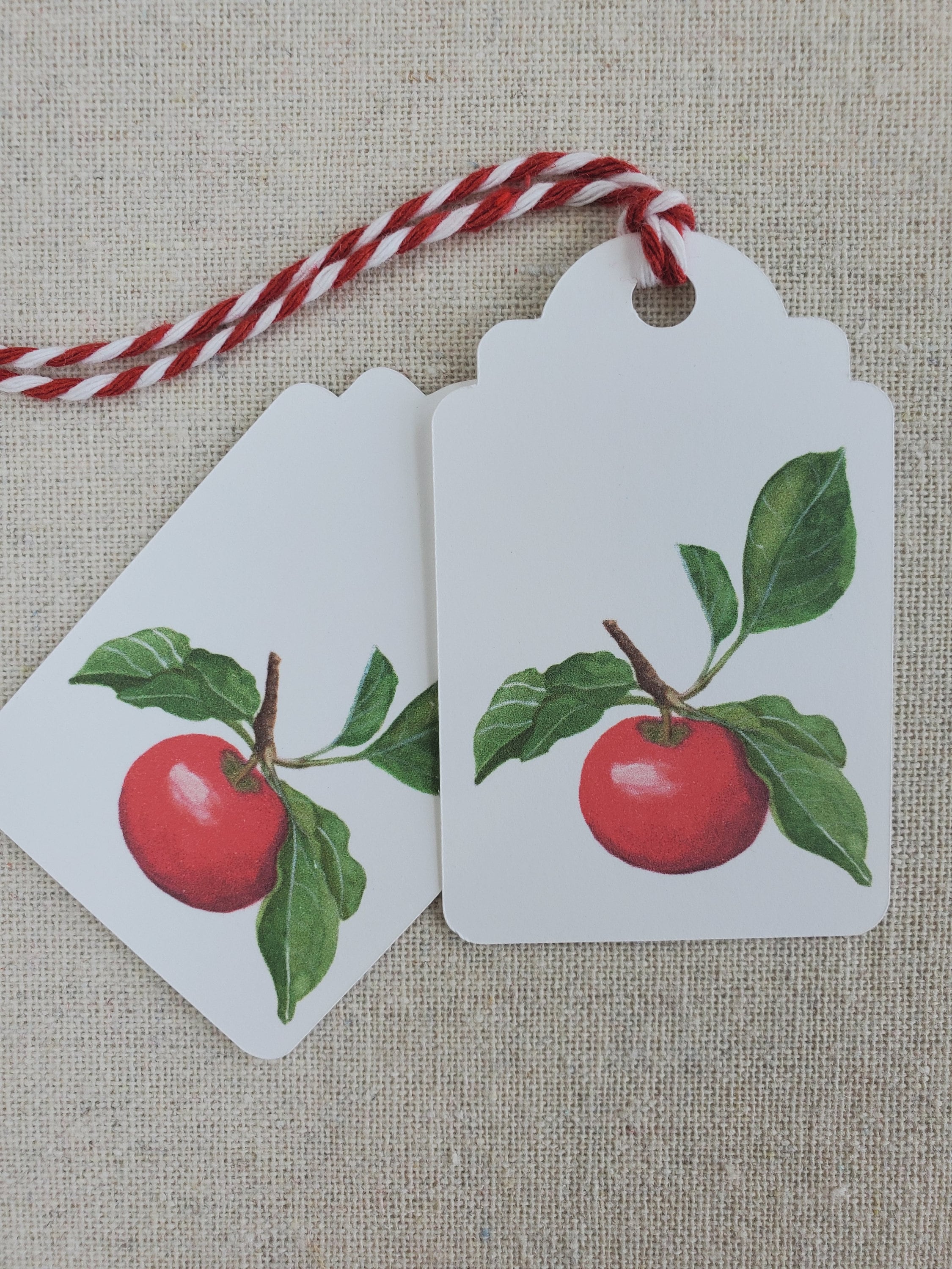 Apple Gift Tags, Set of 9, Original Watercolor Autumn Gift Bag Tags ...