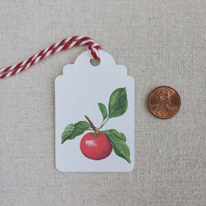 Apple Gift Tags, Fall Gift Tags, Autumn Gift Tag, Gift Tag, Party Favor ...