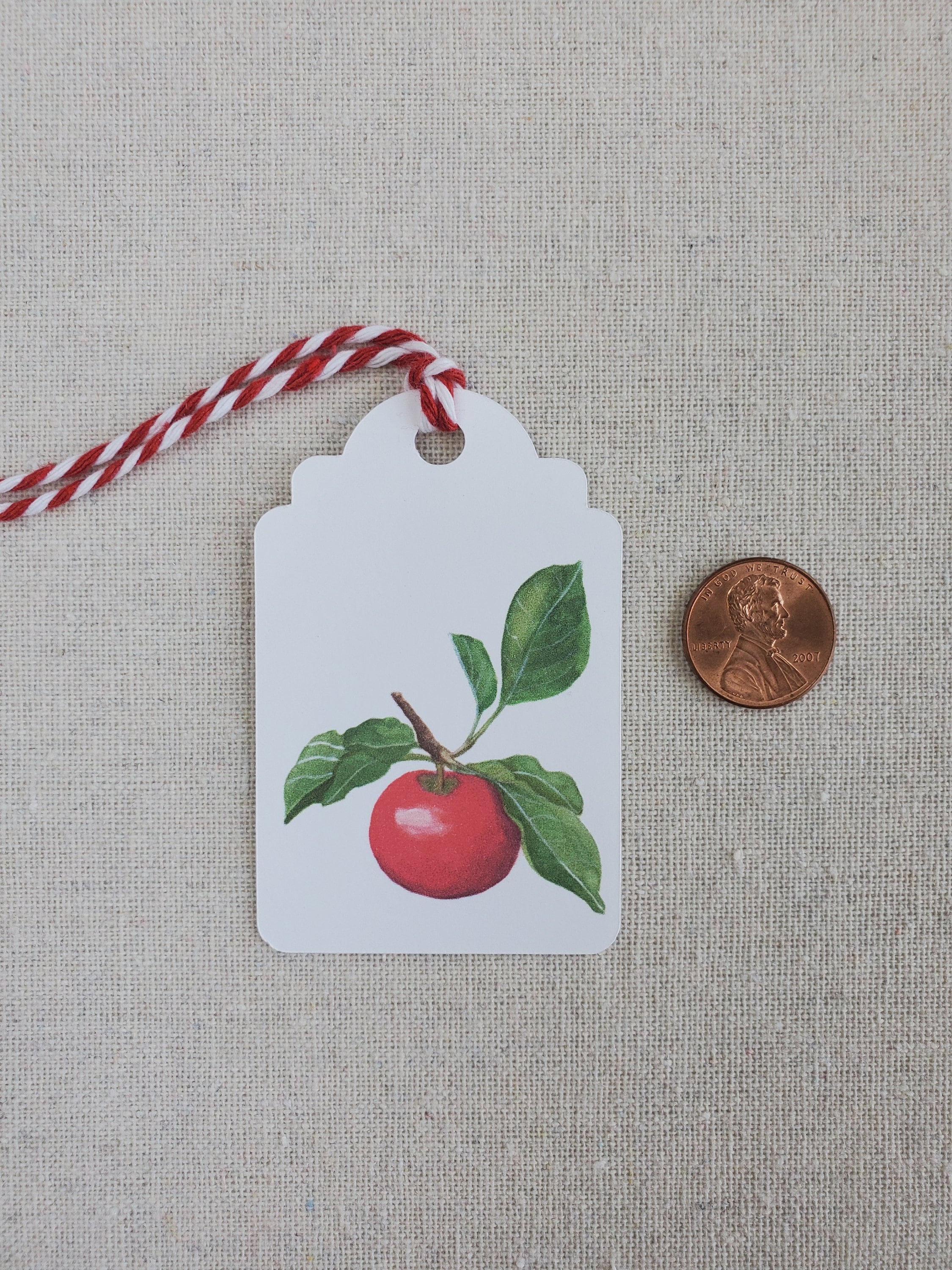 Apple Gift Tags, Set of 9, Original Watercolor Autumn Gift Bag Tags ...