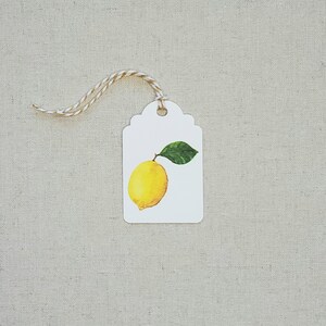 Lemon Gift Tags, Set of 9 All Occasion Present Tags, Original ...