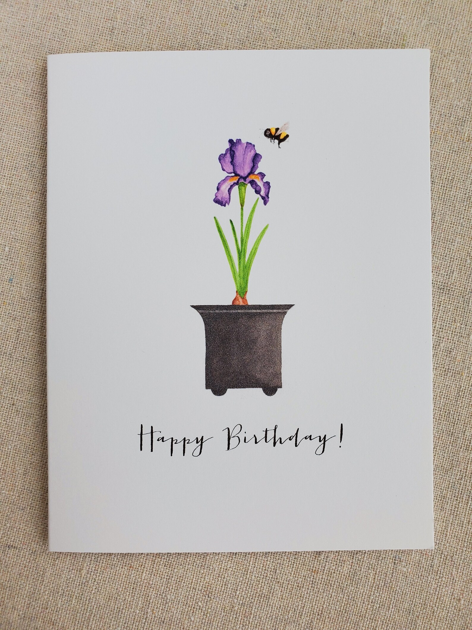 Birthday Note Card Set, Set of 8, Variety Pack of Birthday Cards ...
