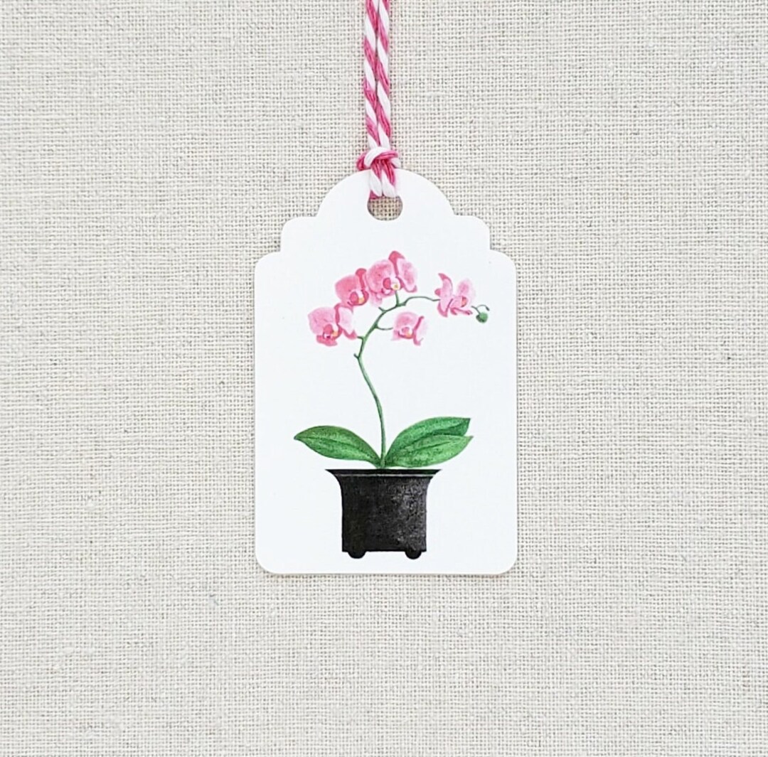 Pink Orchid Gift Tags, Original Watercolor Orchid Floral Present Labels ...