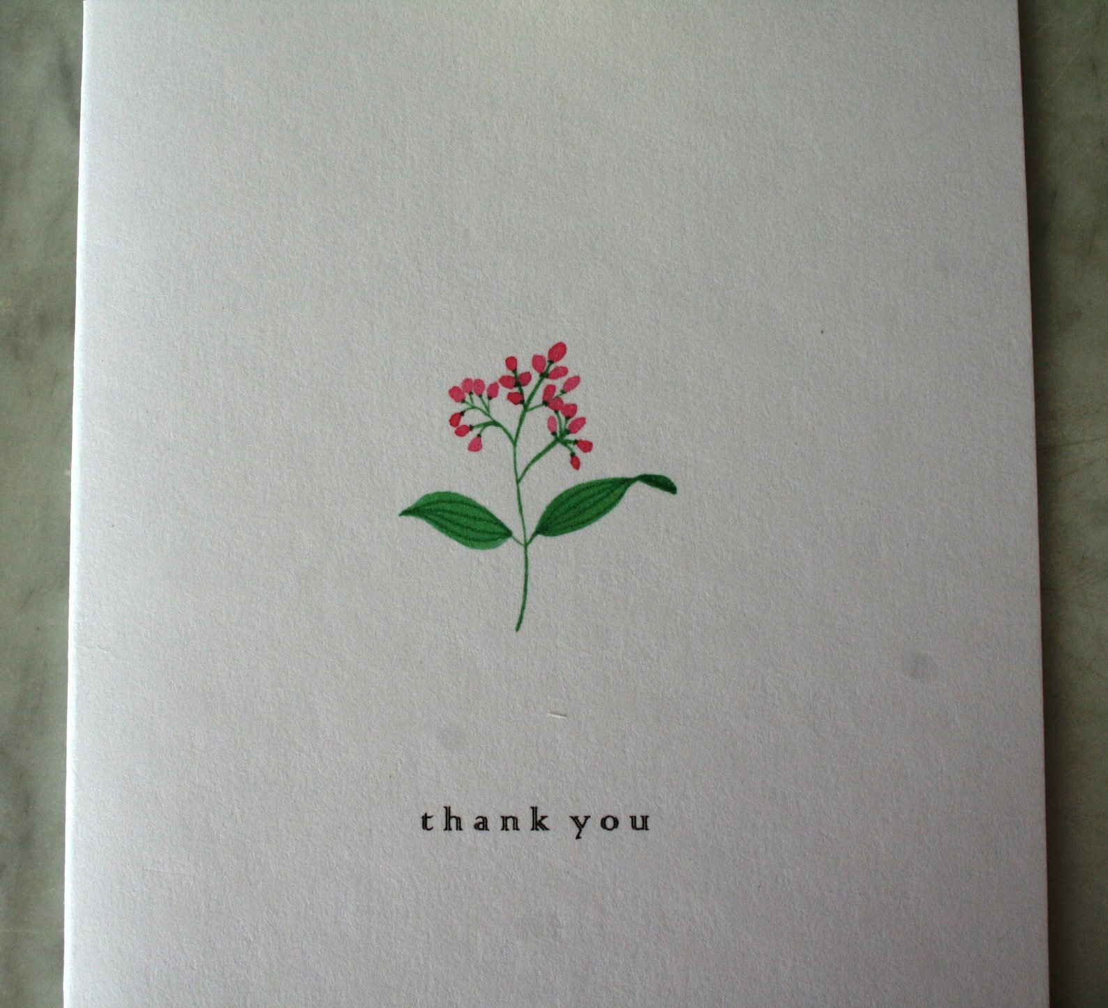 Thank You Note Card Set Set of 8 Variety Pack of Thank You - Etsy